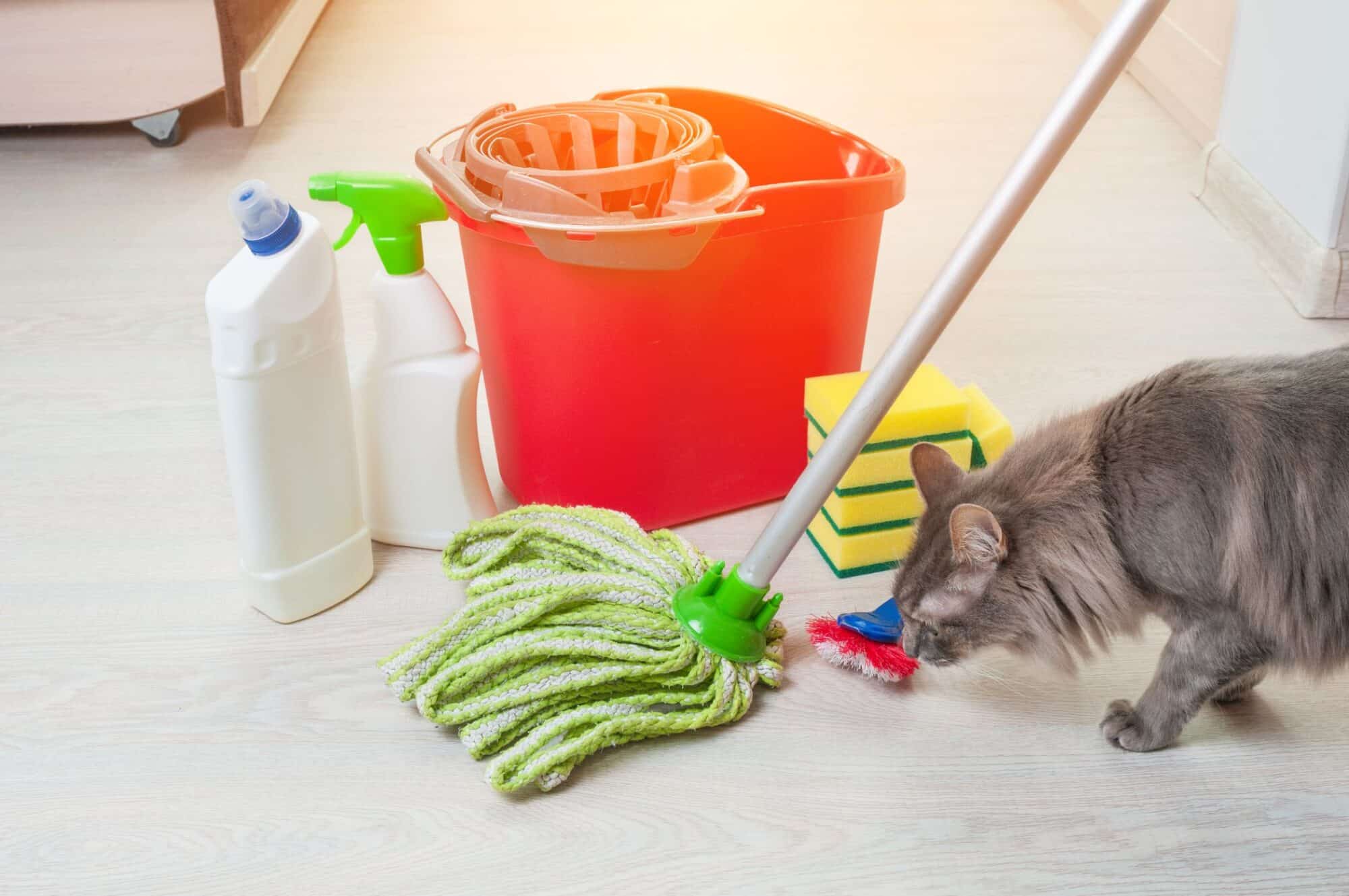 Fresh Home, Healthy Pet: Spring Cleaning Pet Safety Tips | Rocklin ...